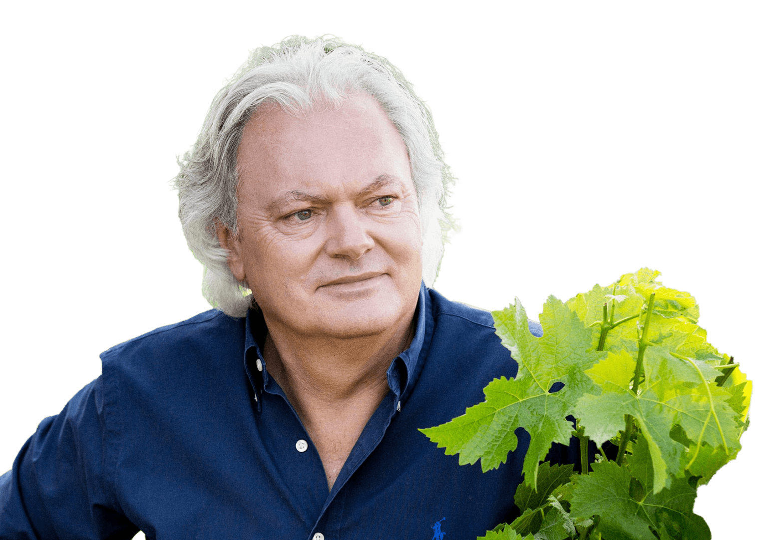 Château La Fleur de Boüard - L'esprit de vigneron